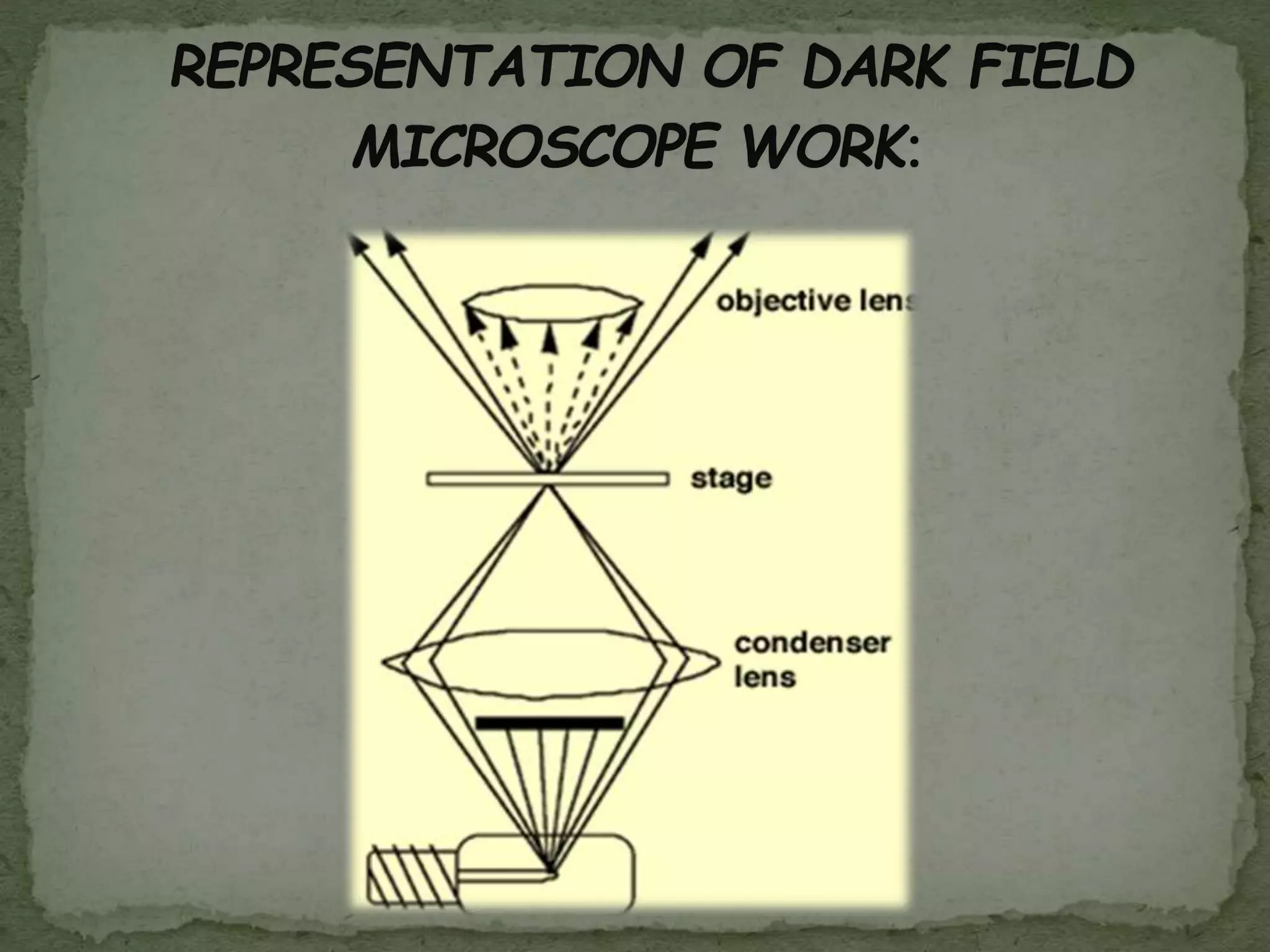 Dark field microscope | PPT