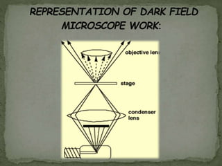 Dark field microscope | PPT
