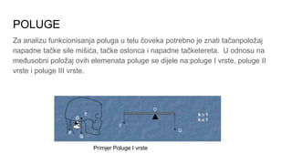 Lokomotorni sistem-POLUGE.pptx