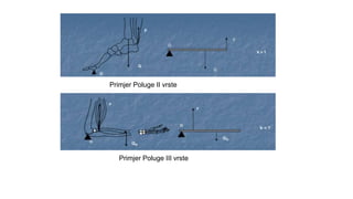 Lokomotorni sistem-POLUGE.pptx