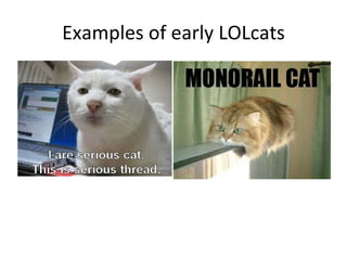 Lolcats Epic Fail