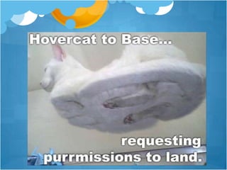 Hovercat To Base