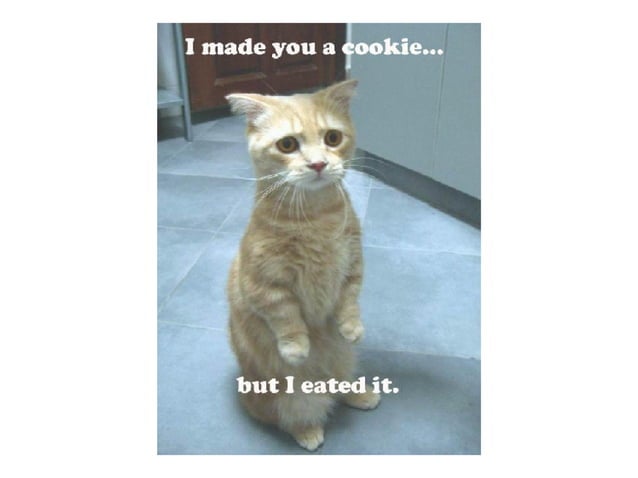 Lolcatz 2 minute break 1 | PPT