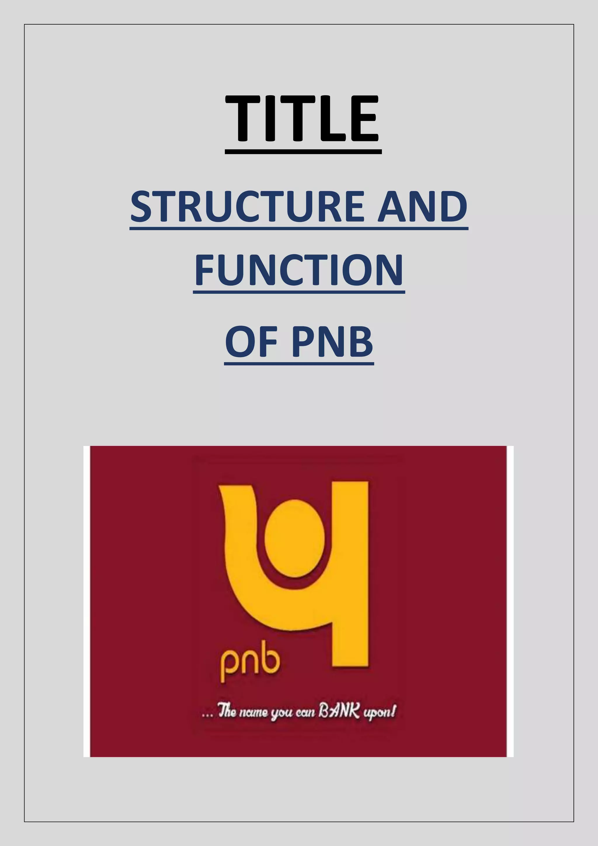 project on pnb.docx