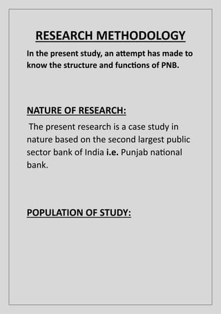 project on pnb.docx