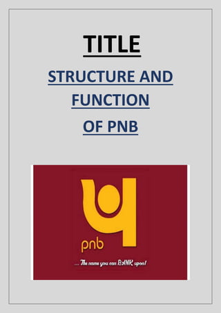 project on pnb.docx
