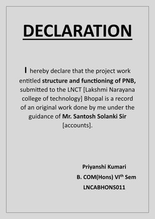 project on pnb.docx