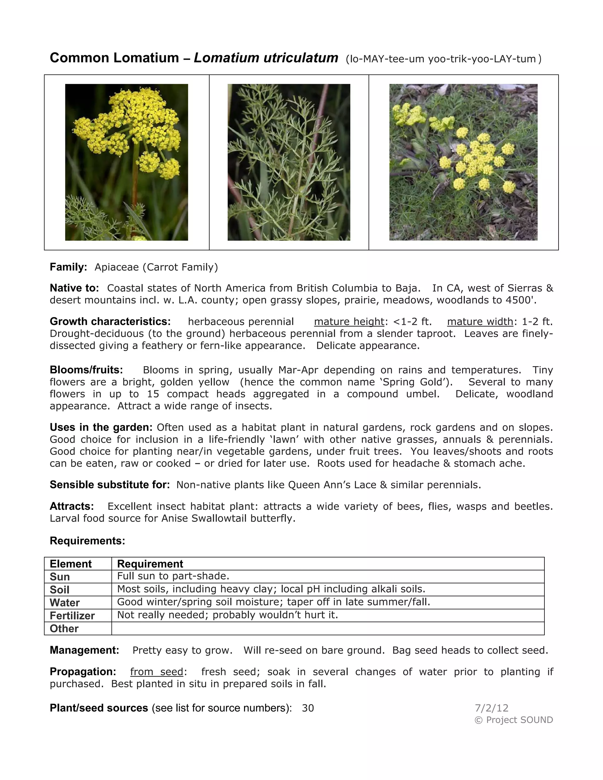 Lomatium utriculatum | PDF