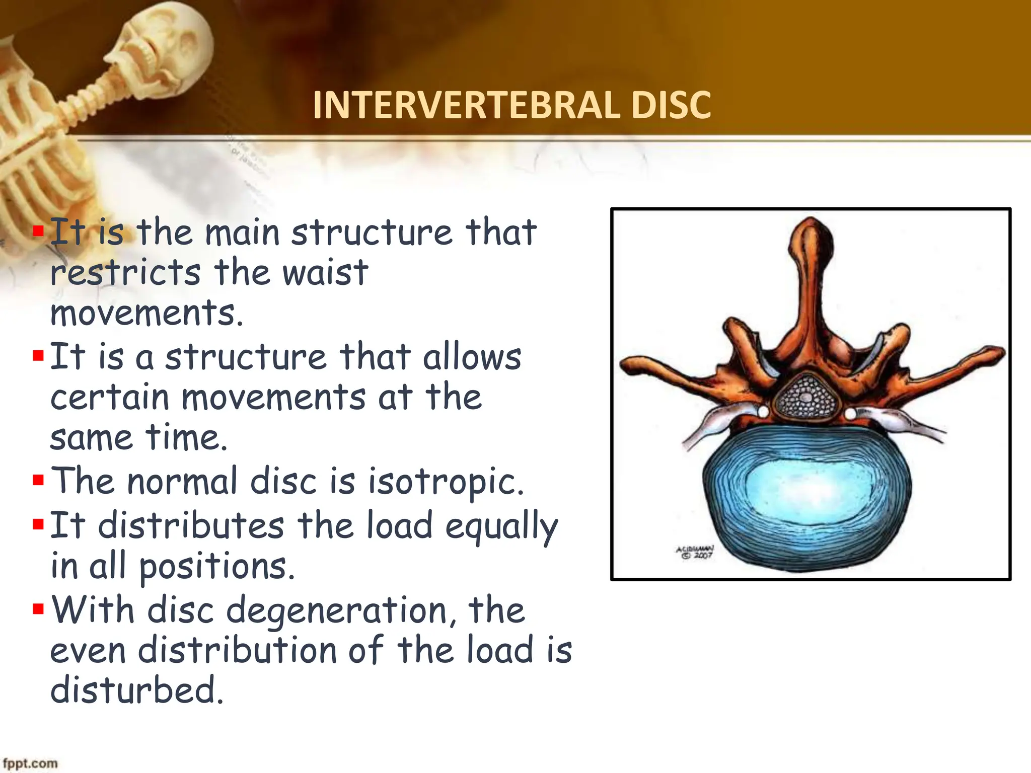 Lomber disk hernia.pptx