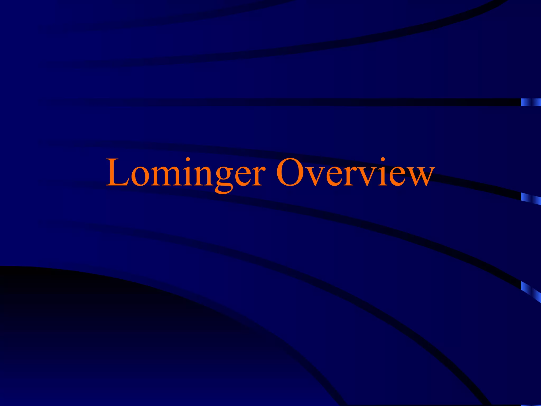 Lominger Overview | PPT