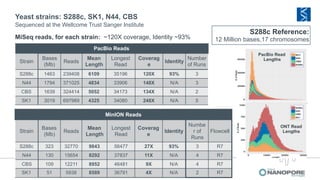 Genome assembly from three sequencing platforms: minION, MiSeq and PacBio | PPT