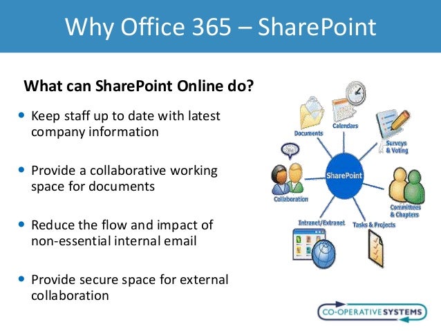 Office 365 Sharepoint Theme