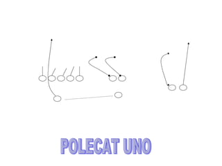 Lonesome Polecat Formation | PPT