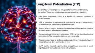 Long-Term-Potentiation-LTP-The-Cellular-Basis-of-Learning-and-Memory.pptx