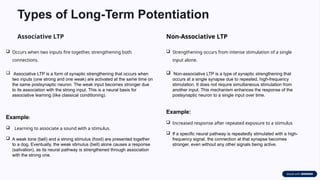 Long-Term-Potentiation-LTP-The-Cellular-Basis-of-Learning-and-Memory.pptx