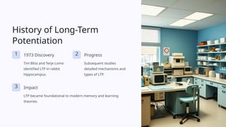 Long-Term-Potentiation-LTP-The-Cellular-Basis-of-Learning-and-Memory.pptx