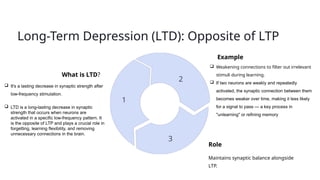 Long-Term-Potentiation-LTP-The-Cellular-Basis-of-Learning-and-Memory.pptx