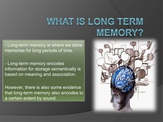 Long term memory | PPTX