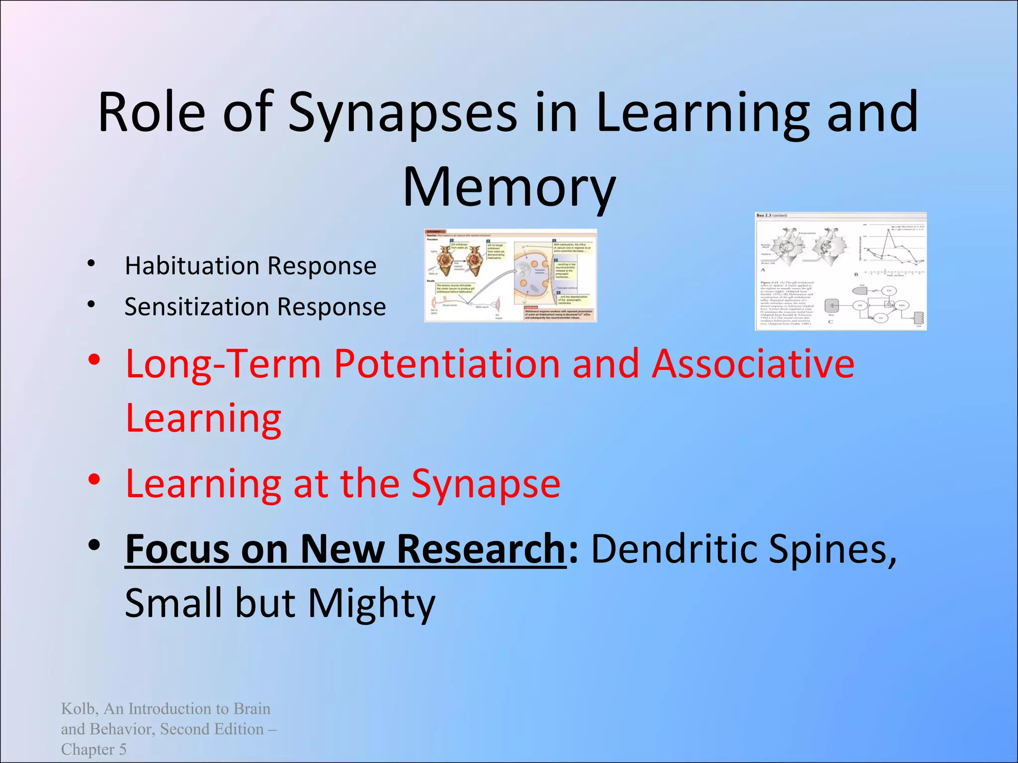 Long term potentiation | PPT