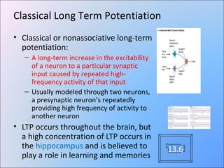 Long term potentiation | PPT
