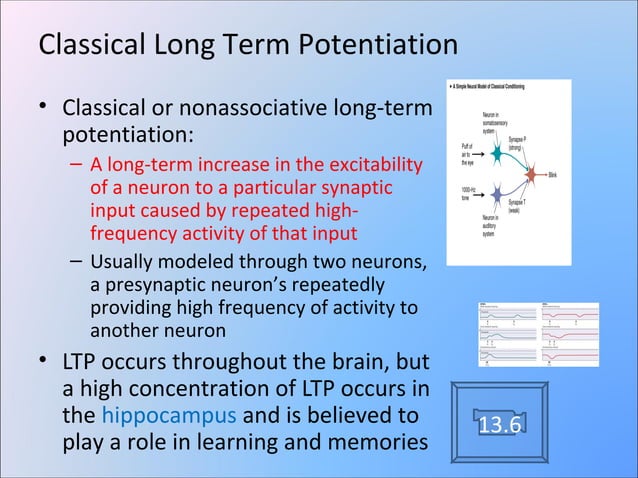 Long term potentiation | PPT | Brain and Nervous System Disorders ...
