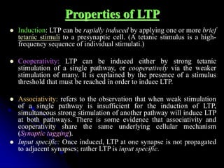 Long-term potentiation.ppt