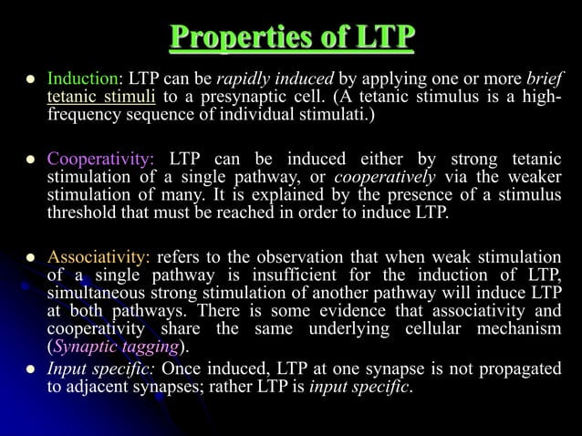 Long-term potentiation.ppt