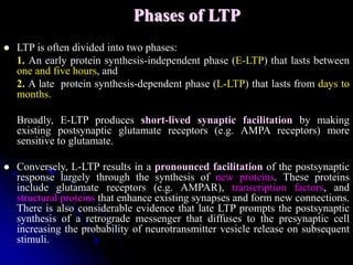 Long-term potentiation.ppt