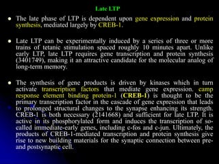 Long-term potentiation.ppt