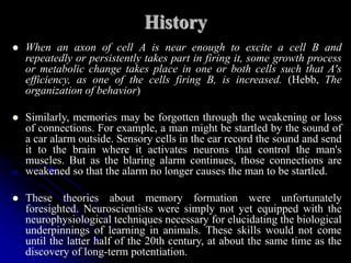 Long-term potentiation.ppt