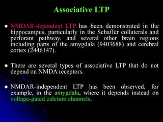 Long-term potentiation.ppt