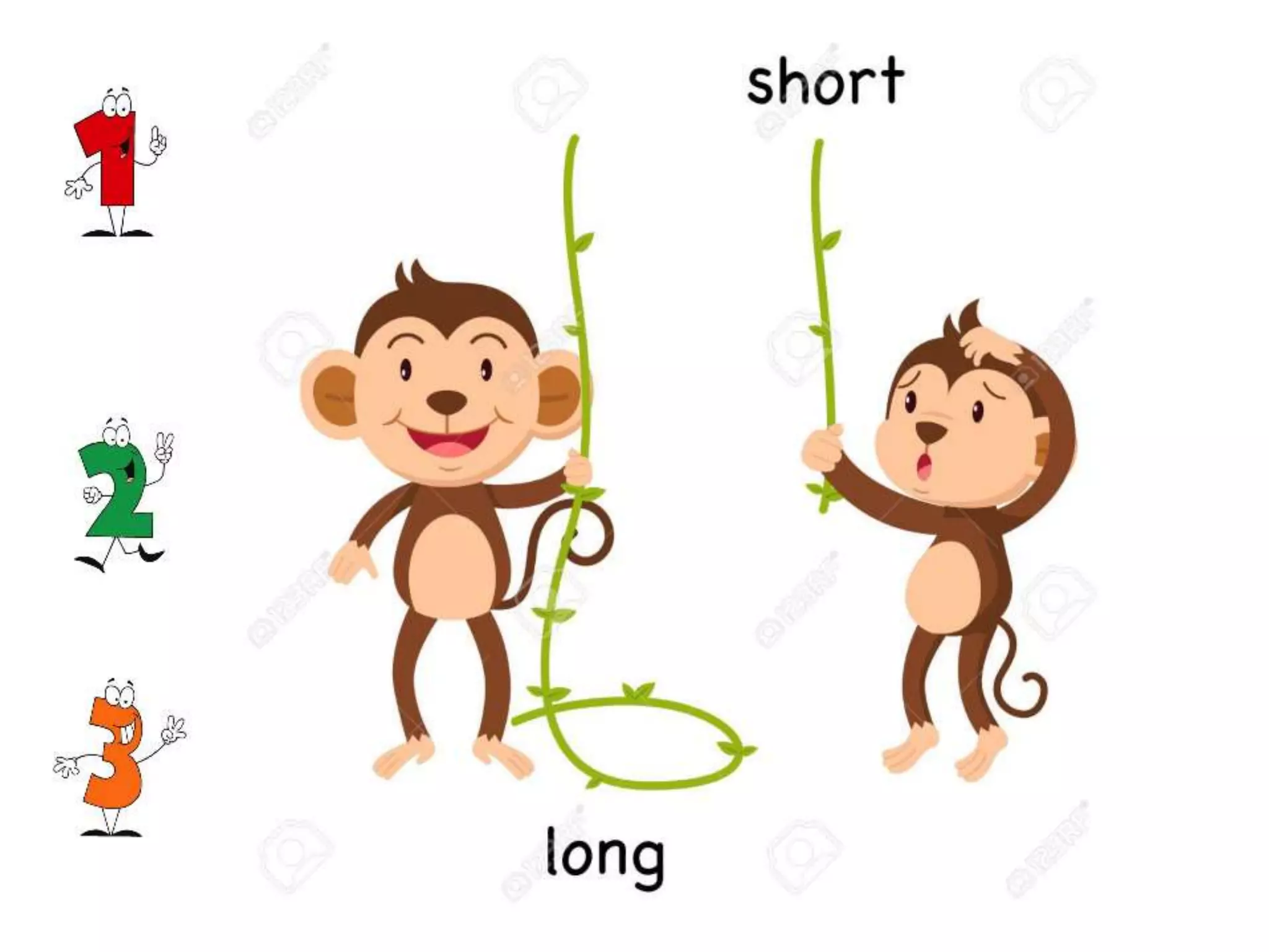 Long and short preschool | PPTX