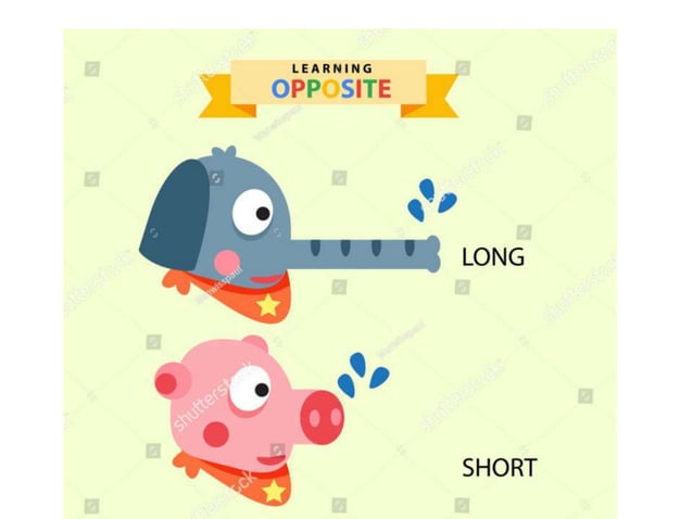 Long and short preschool | PPTX