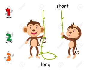 Long and short preschool | PPT