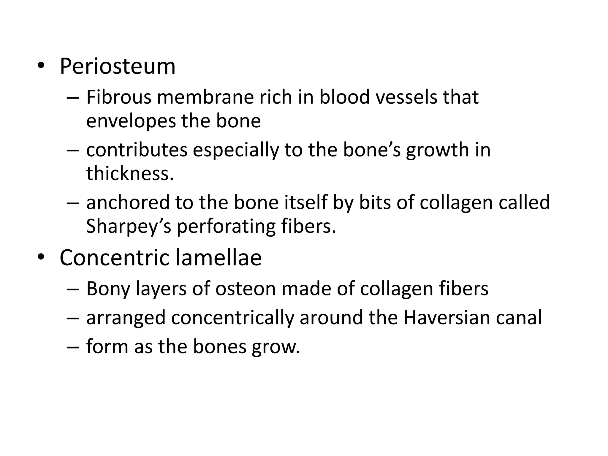 Long bone | PPTX