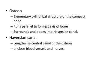 Long bone | PPTX