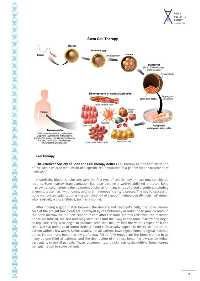Longevity industry landscape overview volume 1 - executive summary | PDF