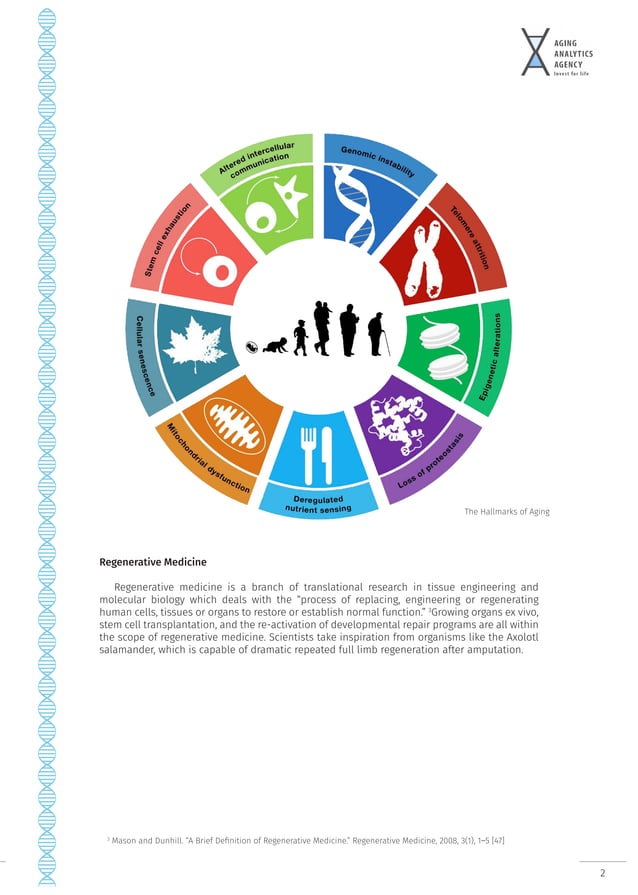 Longevity industry landscape overview volume 1 - executive summary | PDF