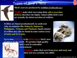 Edible Birdnest EBN fit for human consumption | PPT