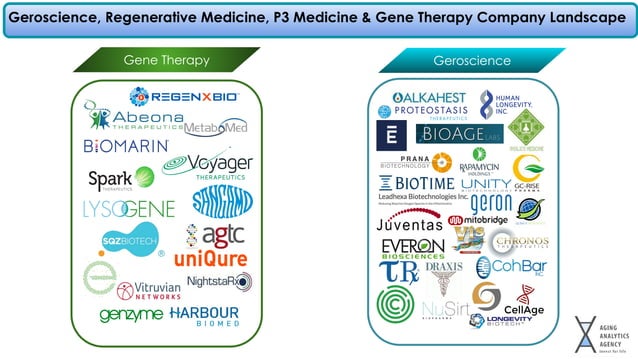 Longevity Report - Infographic Summary | PPT