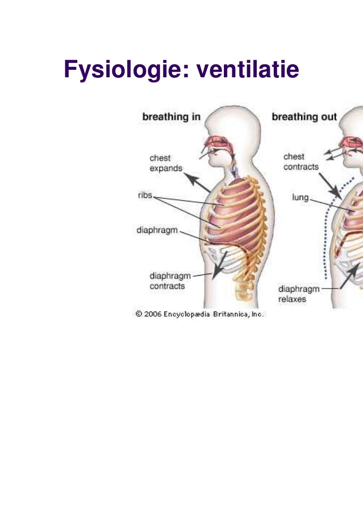 High Care Symposium 7 april 2011 / Longfysiologie