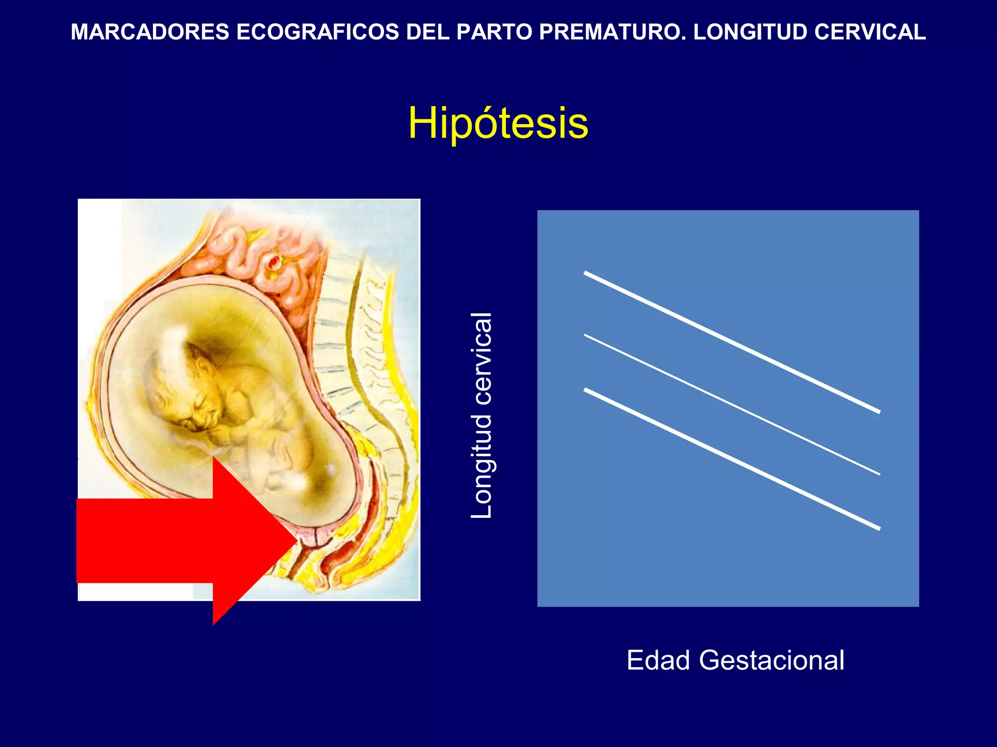 Longitud cervical, mas alla del cribado | PPT