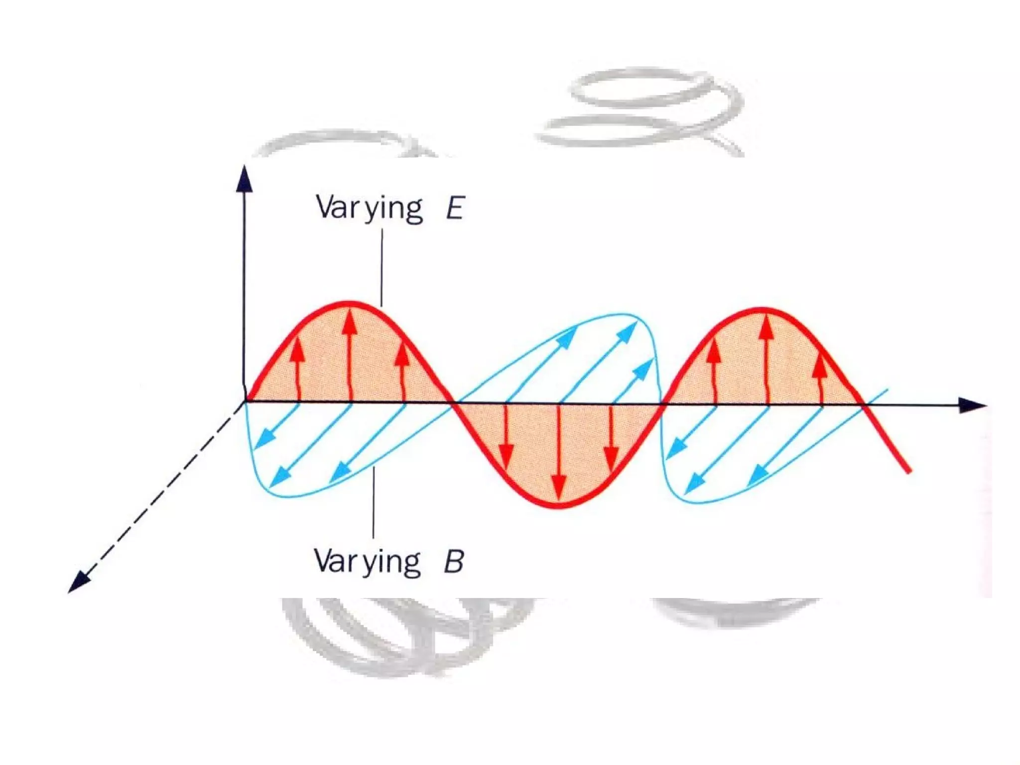 Longitudinal And Transverse Waves | PPT