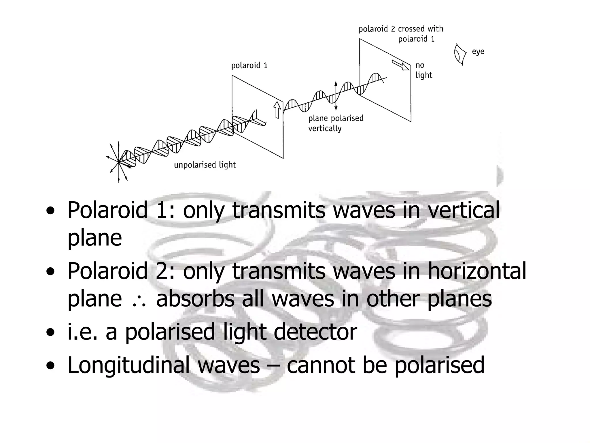Longitudinal And Transverse Waves | PPT