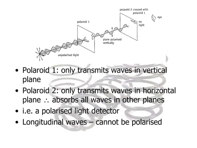 Longitudinal And Transverse Waves | PPT