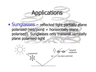 Longitudinal And Transverse Waves | PPT