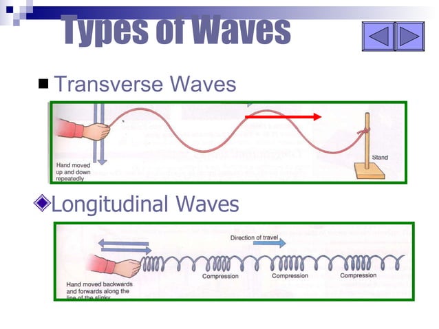 Longitudinal and transverse waves | PPT | Physics | Science