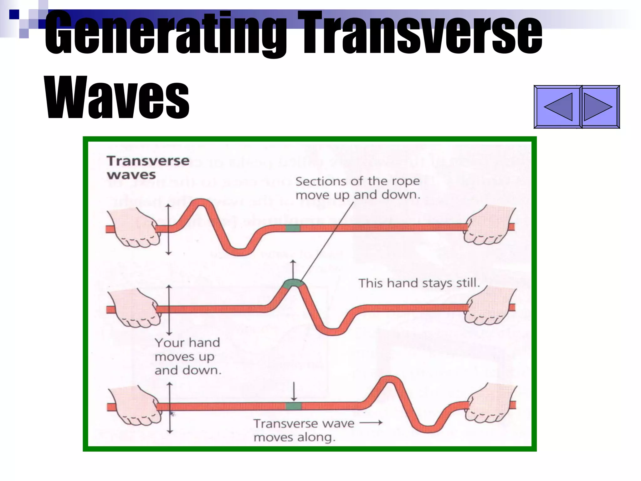 Longitudinal and transverse waves | PPT