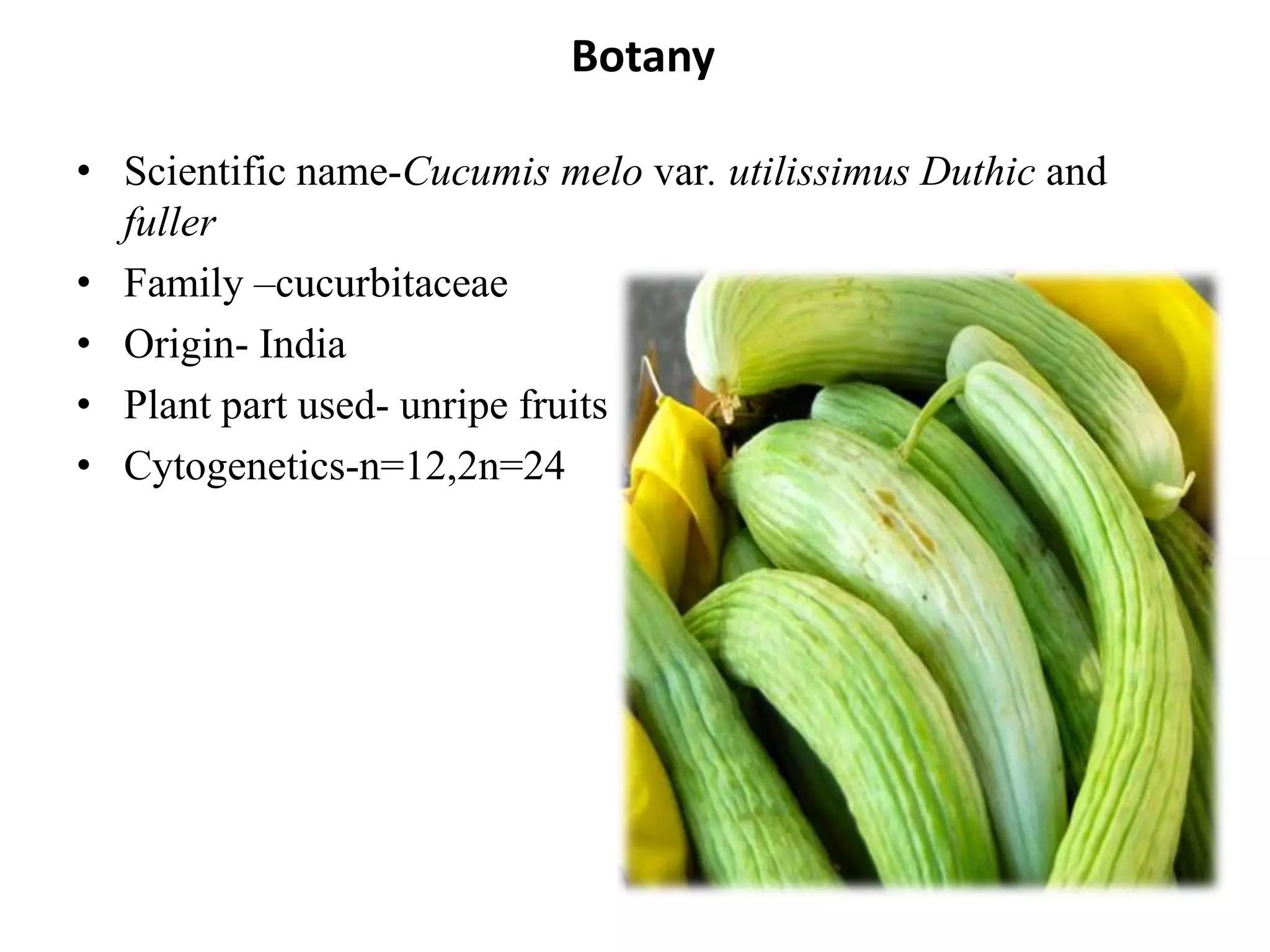 Long melon production technology | PPTX