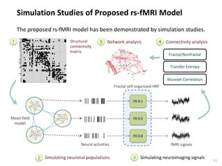 Long memory model of resting state functional MRI | PPT